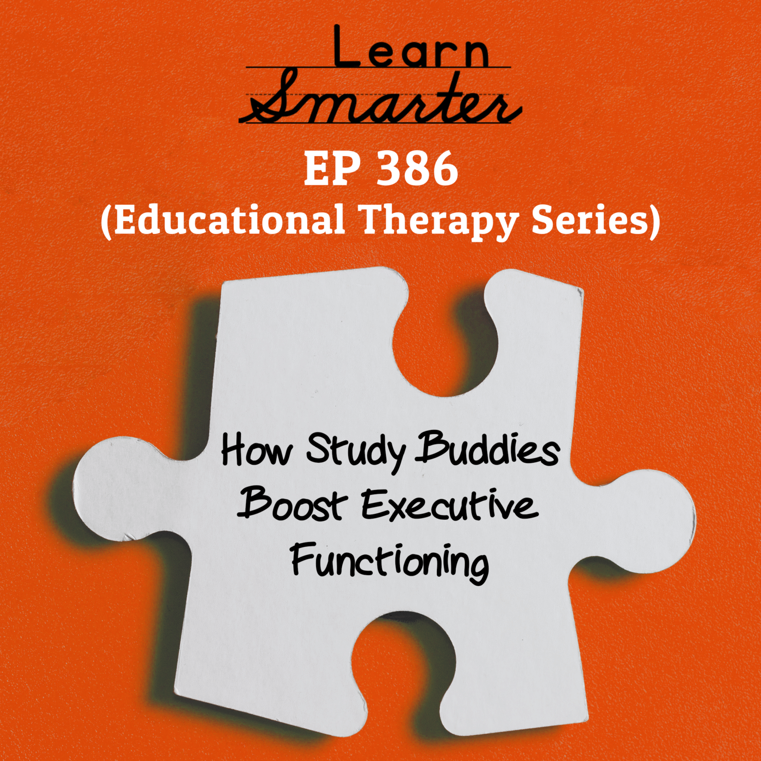 Learn Smarter | 386: How Study Buddies Boost Executive Functioning ...